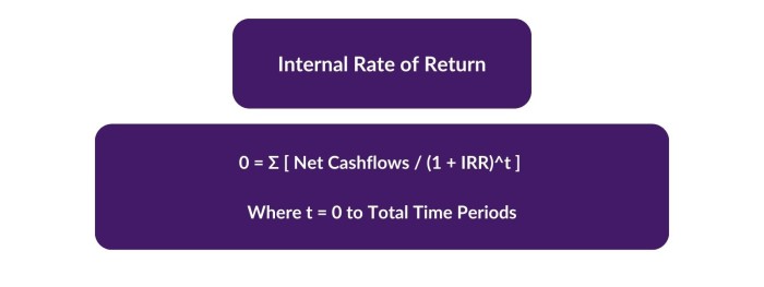 Internal Rate of Return (IRR): Formulas, Examples and Implications