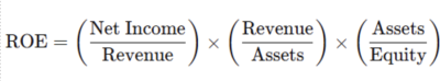 Return on Equity (ROE): Definition, Formula and Examples - Capital City ...