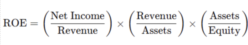 Return on Equity (ROE): Definition, Formula and Examples - Capital City ...